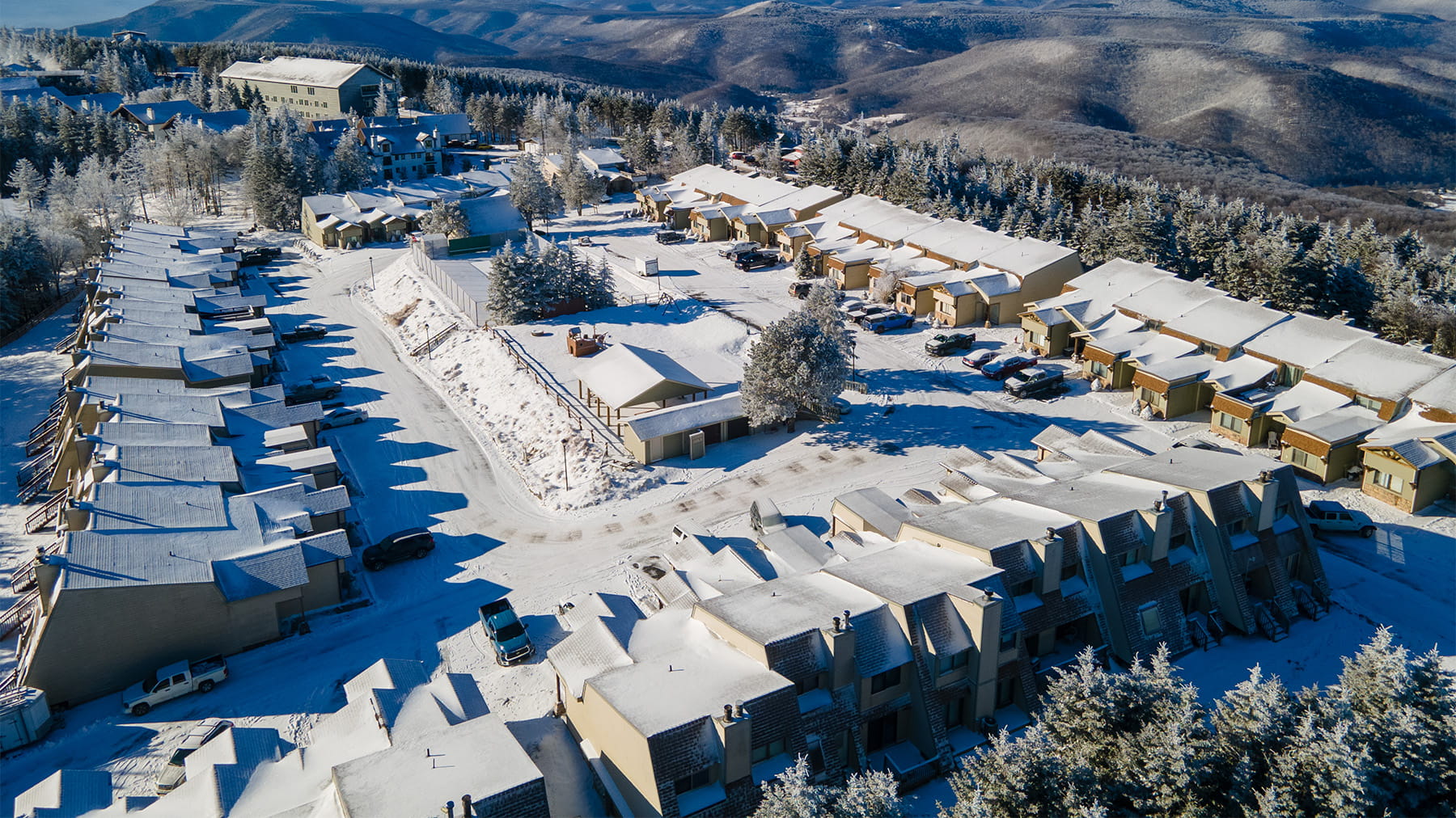 Shamrock | Snowshoe Mountain
