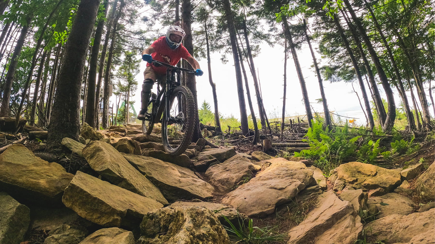 Mountain Biking | Snowshoe Mountain