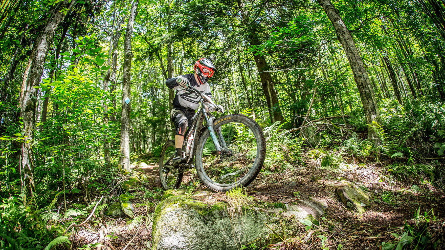 Mountain Biking | Snowshoe Mountain